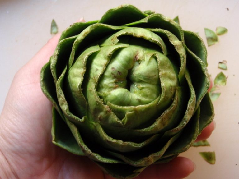 What is Inulin and is it a FODMAP? - A Little Bit Yummy