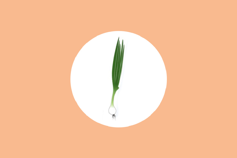 Spring Onion - A Little Bit Yummy