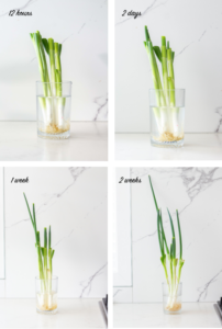 How to Use Spring Onion (Green Onion) on the Low FODMAP Diet